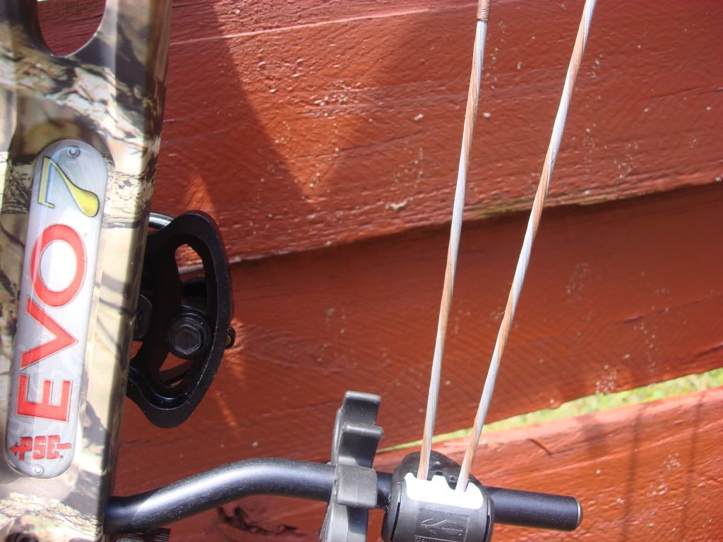 Custom Strings!!! | Archery Talk Forum