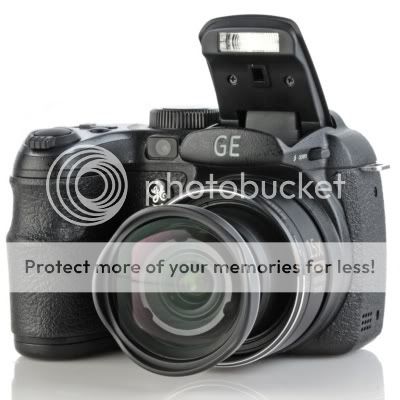 Qualidade da Camera GE X5 | Wiki Aves - A Enciclopédia das Aves do Brasil