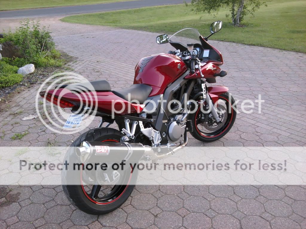 Hot Bodies Undertail | Suzuki SV650 Riders Forum