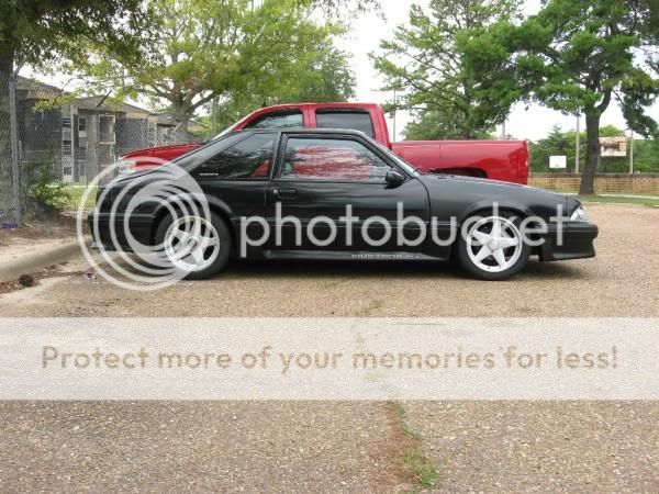 hmm hatch mustangs wingless??? | Modded Mustang Forums
